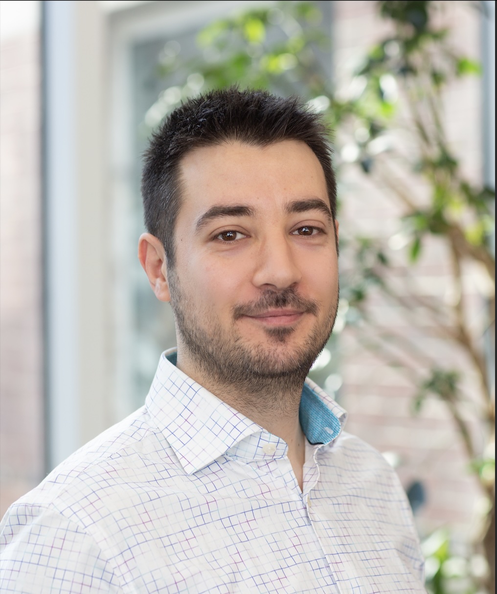 Professional Summary - About